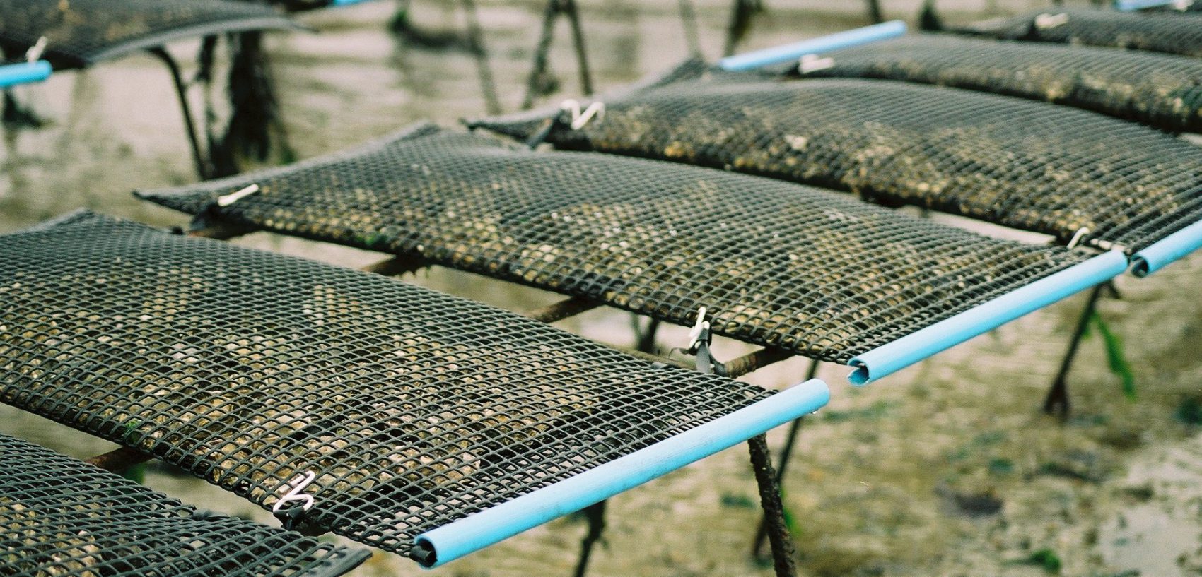 Supplier of Specialist Aquaculture Equipment in Ireland