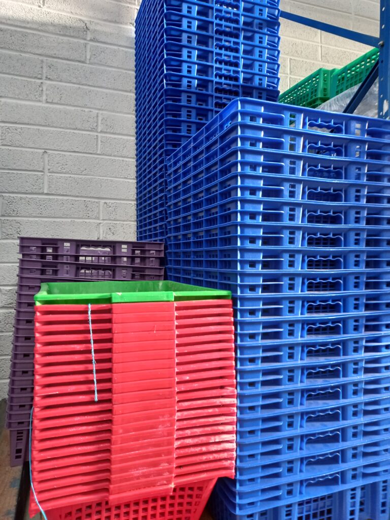 Nesting Oyster Baskets | Triskell Seafood | Seafood Trader & Supplier